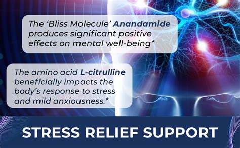 Tesseract Medical Research Anaquell Qr Stress Relief