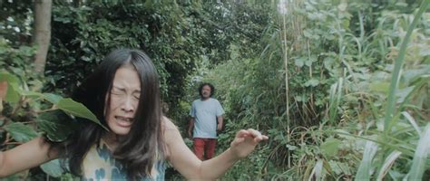 Journey Of The Tortoise 2016 Review Camera Japan Festival Psycho Cinematography