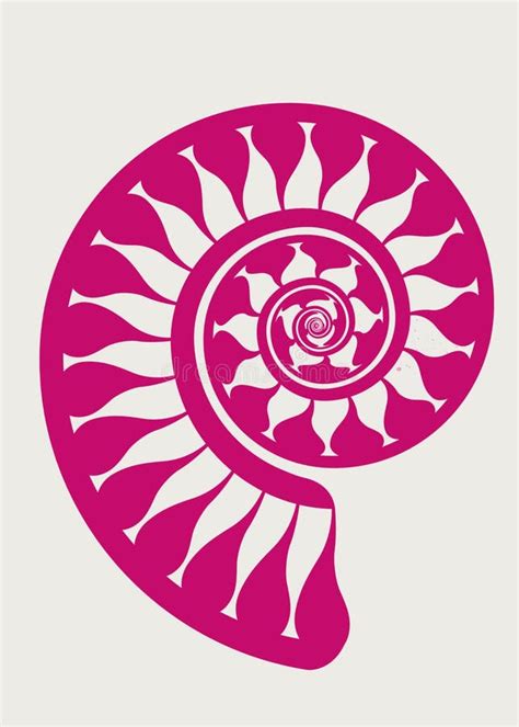 Decorative Pink Shell With Patterns For Your Designs And Ideas Stock