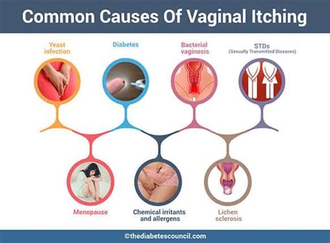 Itchy Swollen Vag Lips White Discharge