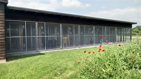 Norfolk Cattery Home Farm Cattery Based In Hethersett Norfolk