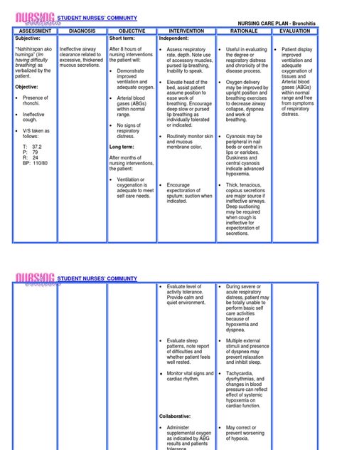 Nursing Care Map Template