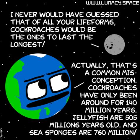 The Impending Cockroach Wars Rdystopianfuture