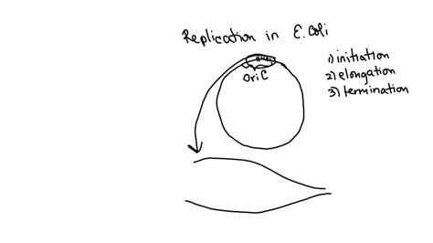 Determine Whether The Statements Describe Events Or Proteins Involved