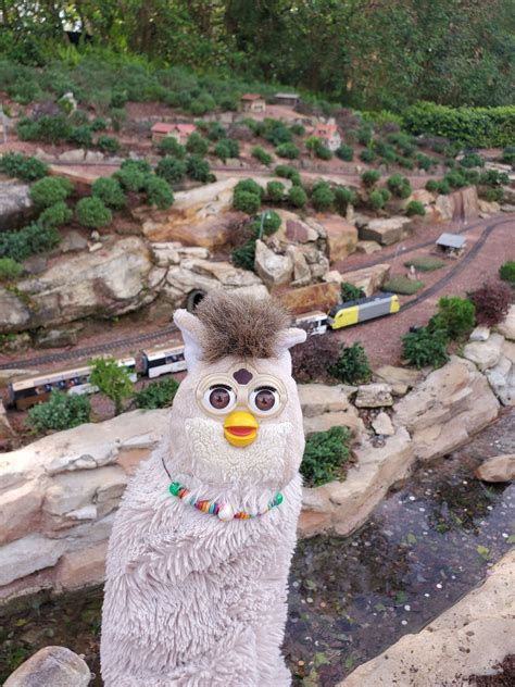 Foxeyedaisy On Tumblr