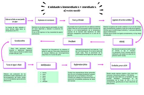 Cuidados Al Recién Nacido Esquemas Y Mapas Conceptuales De Pediatría