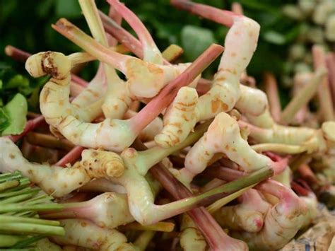 Galangal Substitute Top Alternatives For Your Recipes Northern Nester
