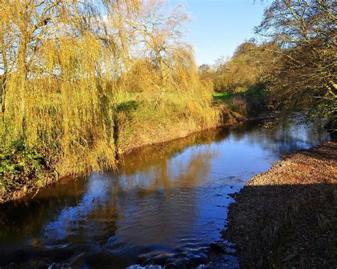 The Best Things To Do In Otterton 2026 Must See Attractions