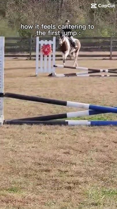 Lets See If I Pass My Classes Or I Pass Away 😃 Youtube