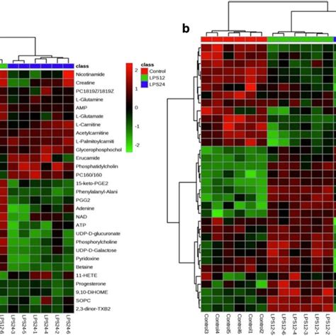 Hierarchical Clustering Of Differential Metabolites A Hierarchical Download Scientific