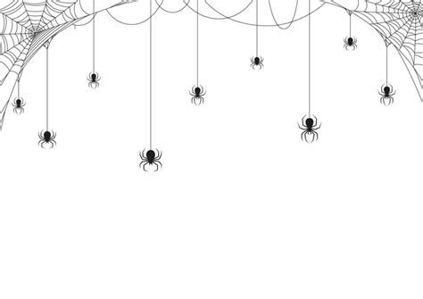 Spider Border Vector Art Icons And Graphics For Free Download