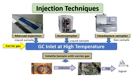 Working Of Headspace In Gas Chromatography Flair Pharma The Knowledge