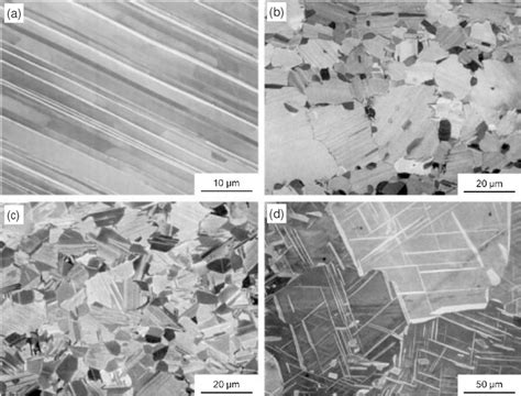 Typical Microstructures Of Tial Based Alloys Full Lamellar