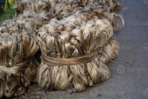What Is Jute In Fiber At Nicole Webber Blog