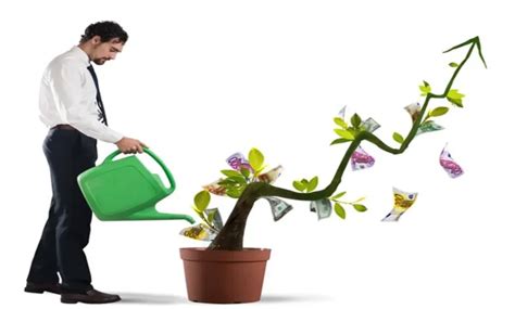 7 Proven Strategies For A Growth Oriented Mindset Mindset Development