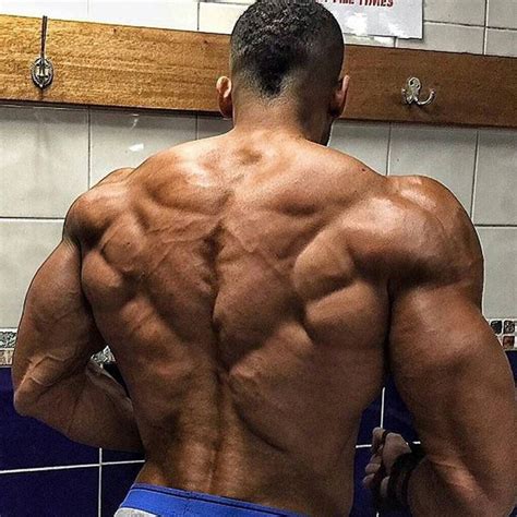 Healthy For Life Bodybuilding Back Wallpaper Bodybuilding Exercise