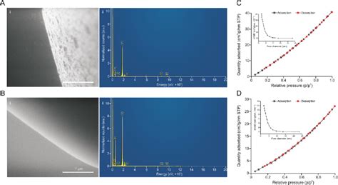 Characterization Of Different Capillary Column A Scanning Electron