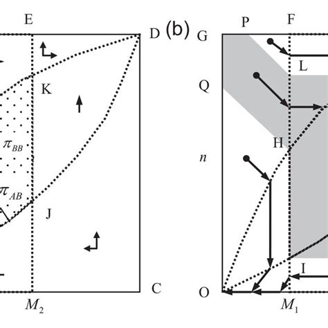 The Evolutionary Dynamics Of System The Equilibrium Point And The