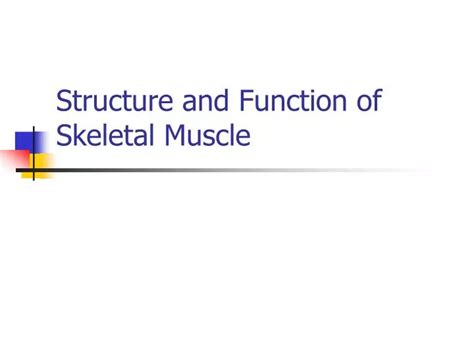 Ppt Structure And Function Of Skeletal Muscle Powerpoint Presentation