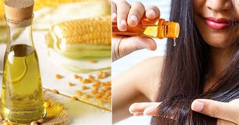 How And Why To Use Corn Oil For Hair Hello Lidy