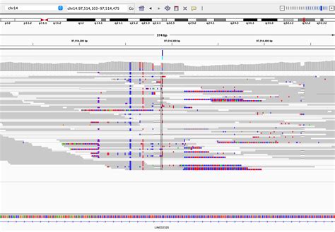 Structural Variant Igv Tutorial Dragen