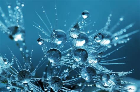 Linkedins Real Time Graph Database Is Liquid The New Stack
