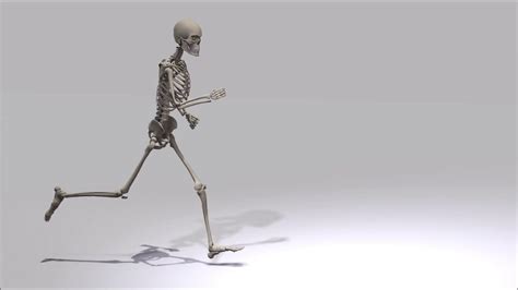 Running Skeleton Meme Run Skeleton Memes And S Julal