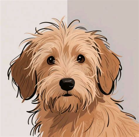 潦草狗道九tdz 站酷zcool