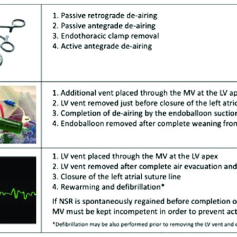 De Airing Steps According To Different Cannulation Strategies Download Scientific Diagram