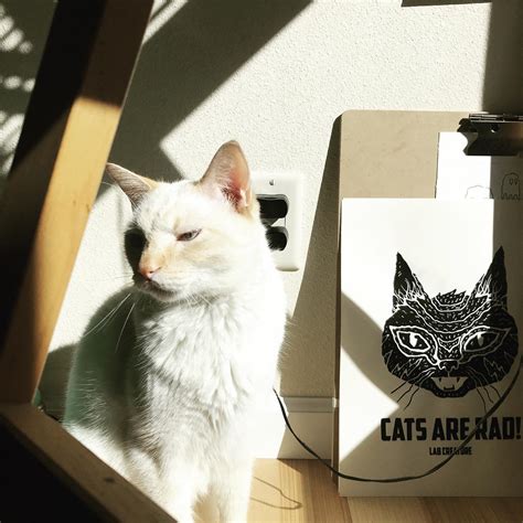 David Bigler Illustration And Design