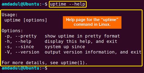 the “uptime” command in linux [5 practical examples]