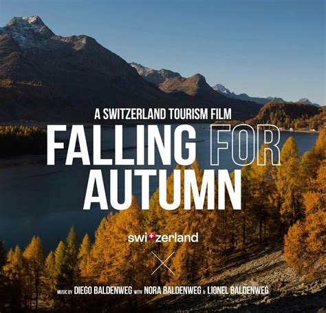 Falling Michael Schweizer 10 Comments