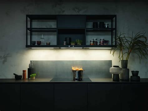 Modular Extractor And Modular Shelf Faber Hoods