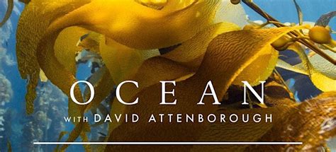 Ocean With David Attenborough Community Screening And Qanda Glasgow Film