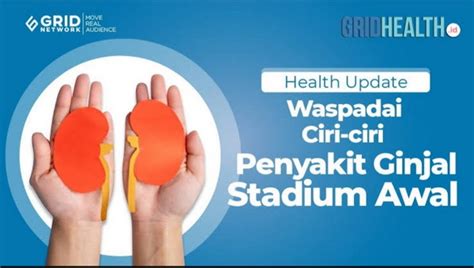 Waspada Ini Lima Ciri Ciri Penyakit Ginjal Stadium Awal Tribratanews