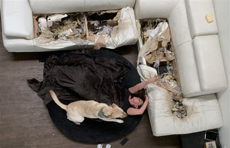 Arlette Ramirez Jaime Blank Template Imgflip