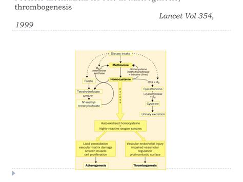 Ppt Thrombophilia Powerpoint Presentation Free Download Id4621651