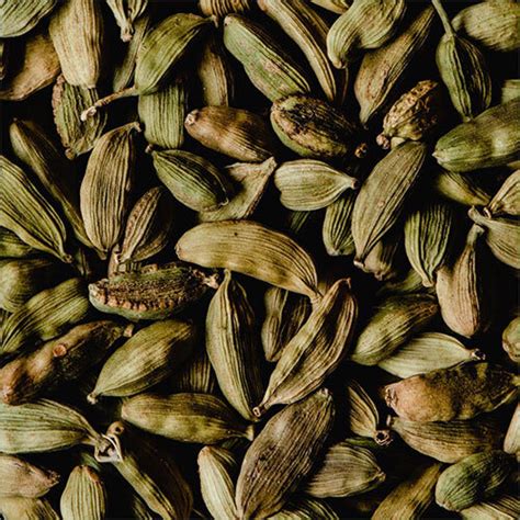 Organic Cardamom Medium Size Green Color Bulk Packaging 10