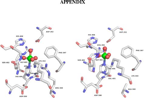 Figure 1 From Isolation And Purification Of Vanadium Haloperoxidase