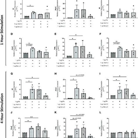 Peanut Stimulation Induces Proinflammatory Gene Expression In Peanut