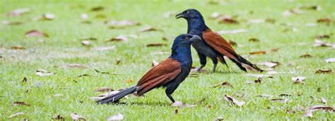 Hans Dorrestijn Viva España Max Vandaag