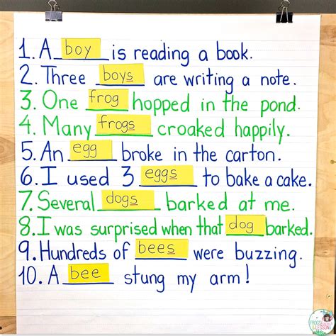 5 Noun Lessons You Need To Teach In 1st Grade Part 2 Fairies And