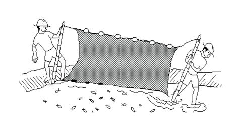 Wisconsin Spearing Netting And Bait Harvest Regulations Eregulations