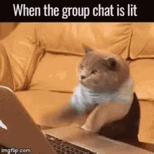 Group Text Lit  Group Text Lit So Lit Discover And Share S