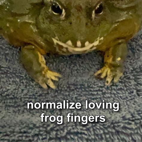 Love Frog Fingers Rborgie