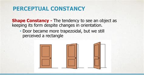 How Important Somatosensory Cortex Is