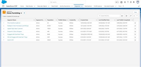 a guide to segmenting your audience with salesforce cdp avasoft