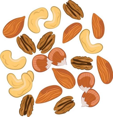 Assorted Nuts Cartoon
