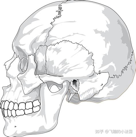 工伤颅骨骨折内有积液和积水能评几级？ 知乎