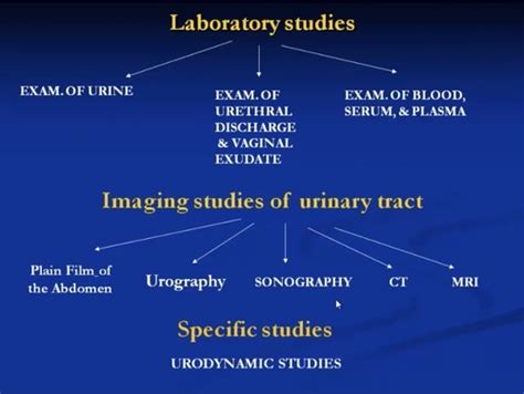 79 Urologic Investigations Urine Blood Ejaculate Forced Prostatic Secretion Urethral